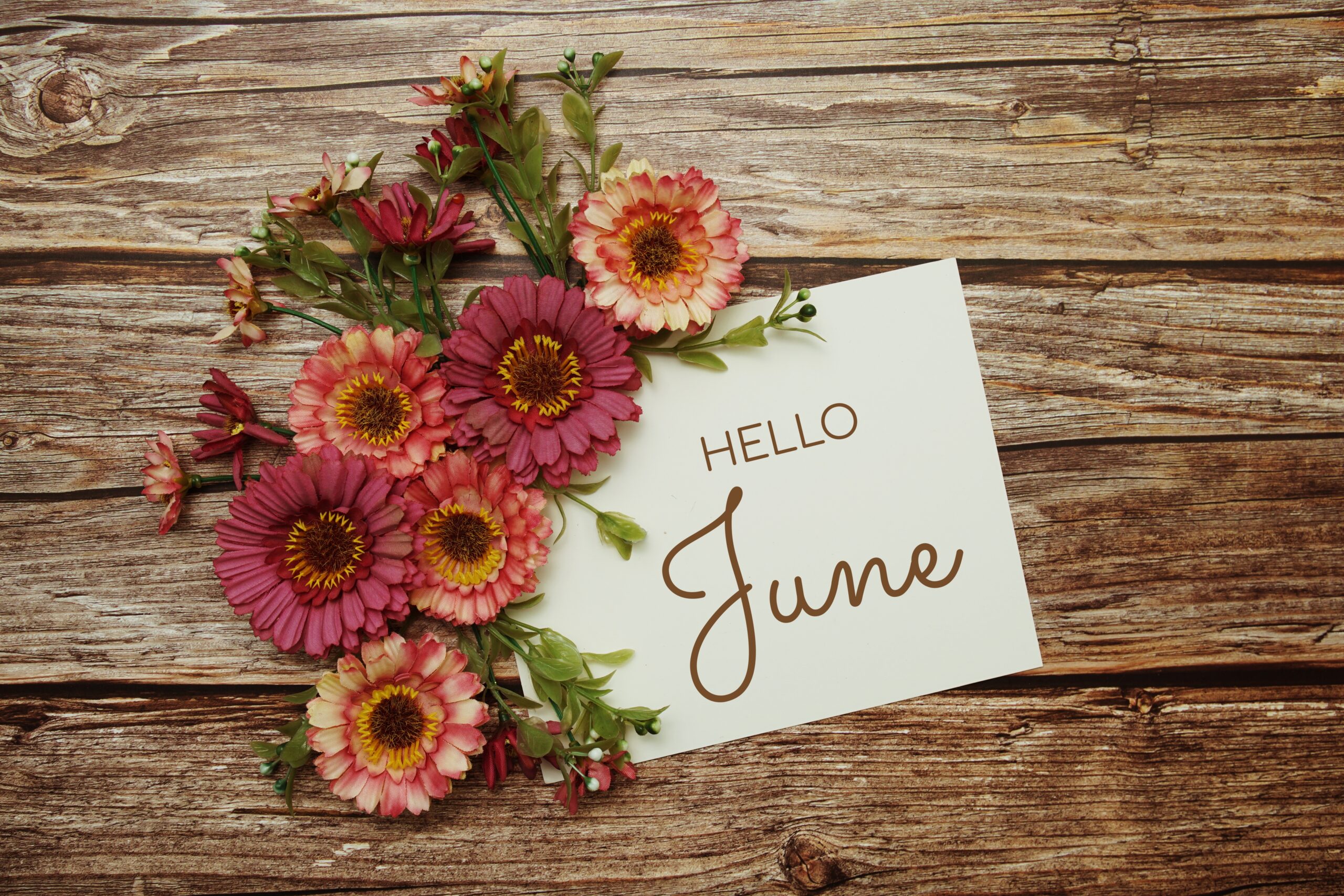 Celebrate the Beauty of June | Fleming Florist